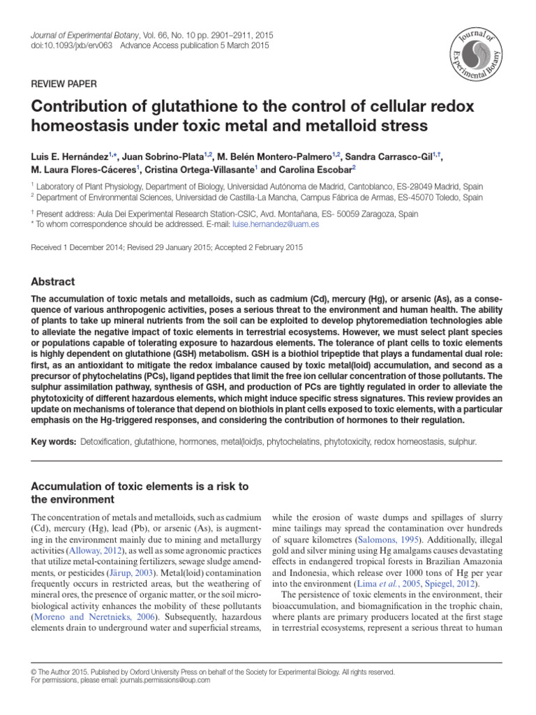 Contribution of glutathione to the control of cellular redox ...