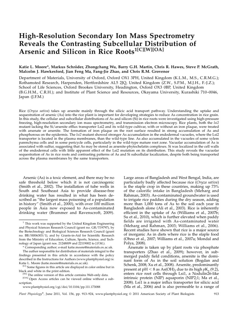 High-Resolution Secondary Ion Mass Spectrometry Reveals The Contrasting ...