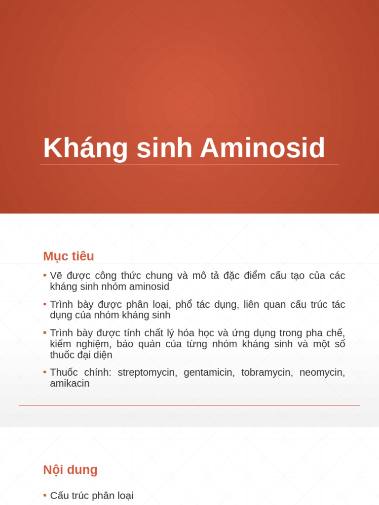 Kháng Sinh Aminosid | PDF
