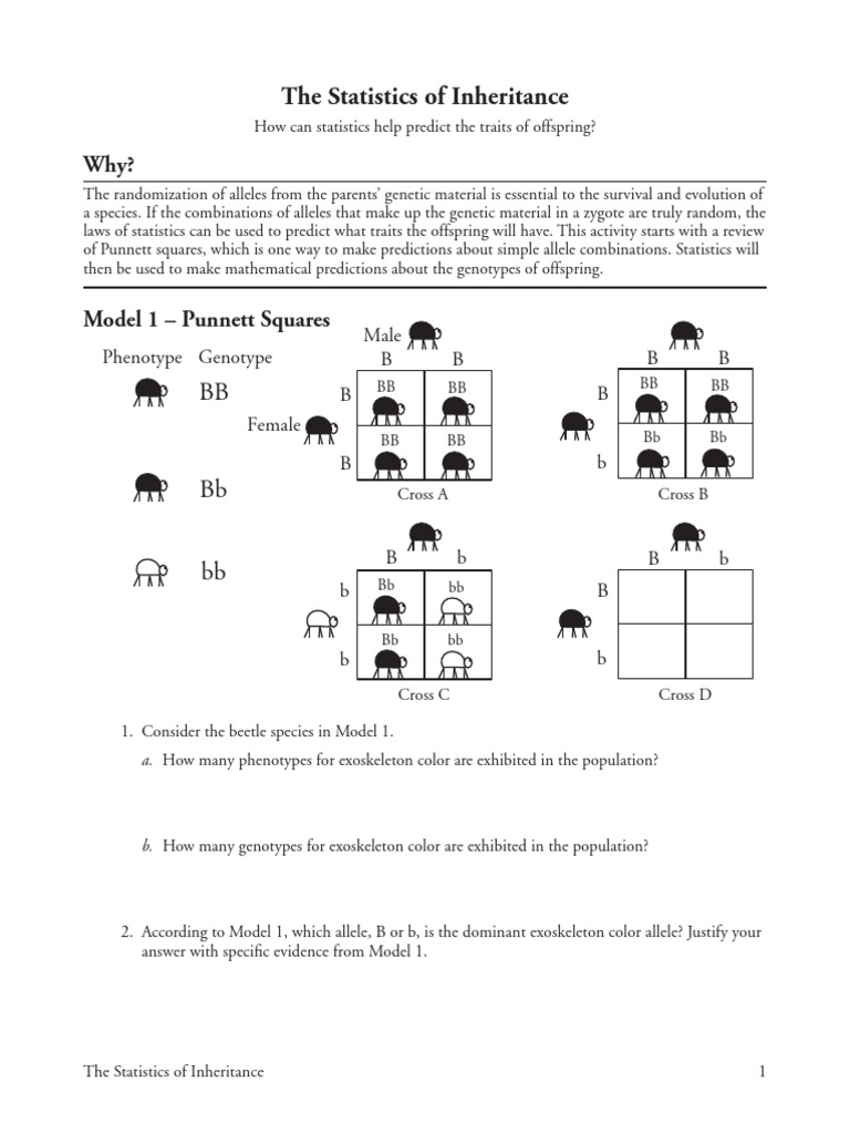 19 The Statistics of Inheritance-S | PDF | Genotype | Zygosity