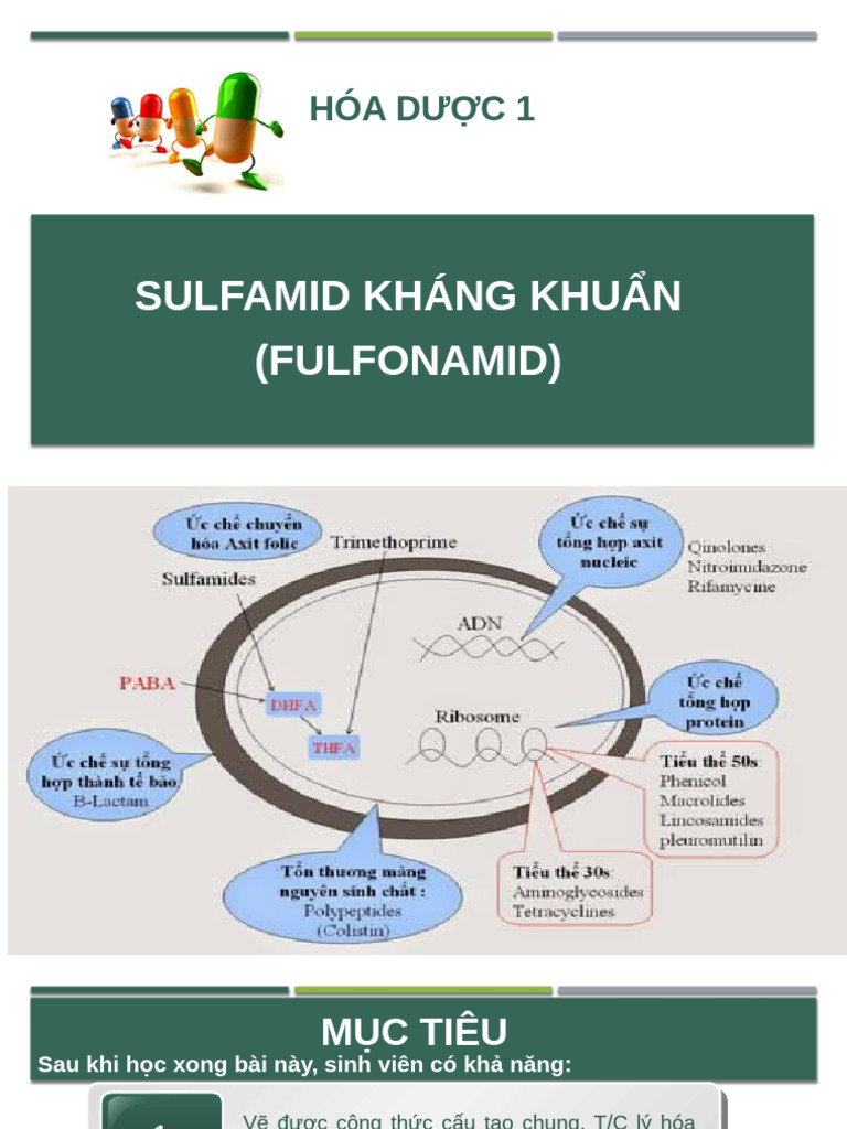 HD1 Sulfamid | PDF