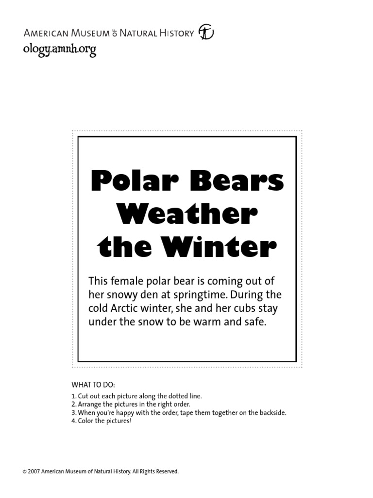 arctic_puzzle01 | PDF