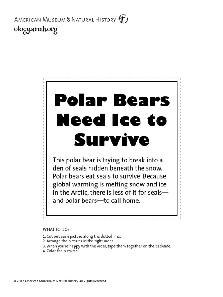 Arctic Puzzle02 | PDF