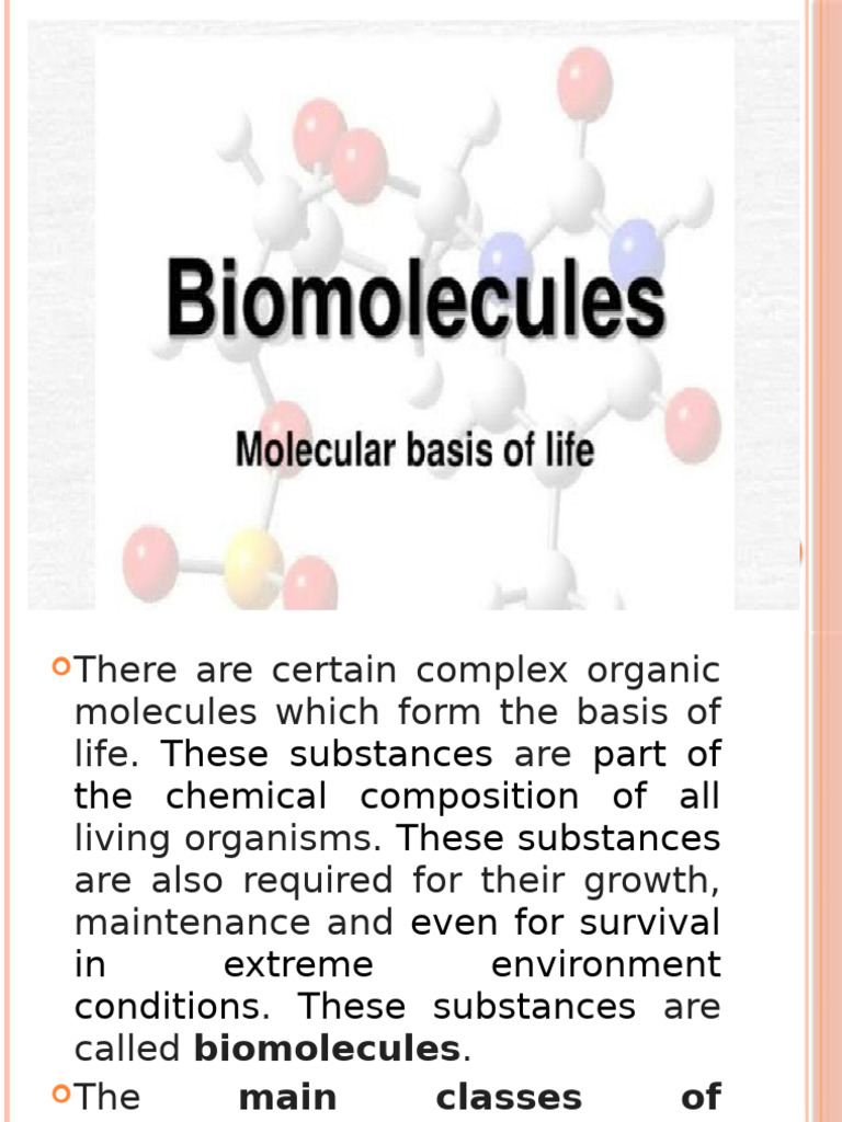 Bio Molecules | PDF