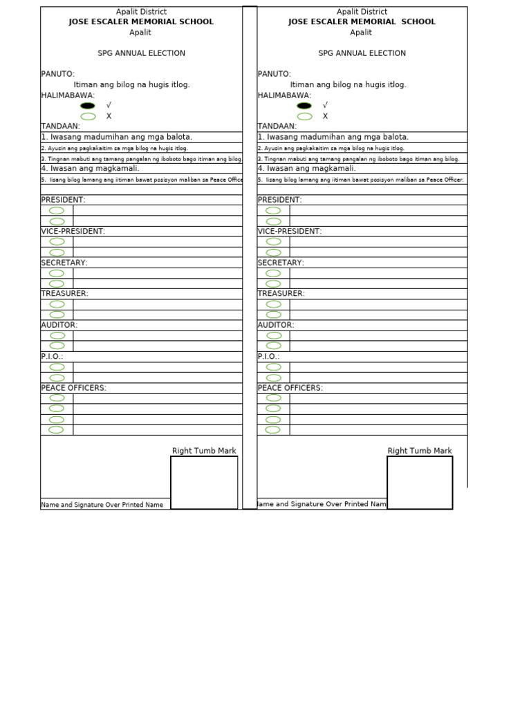Sample Ballot 1 | PDF