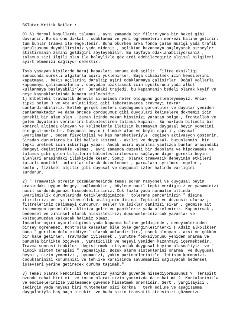 BKT Kritik Son | PDF