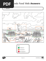 Daintree Rainforest Food Web Overview | PDF