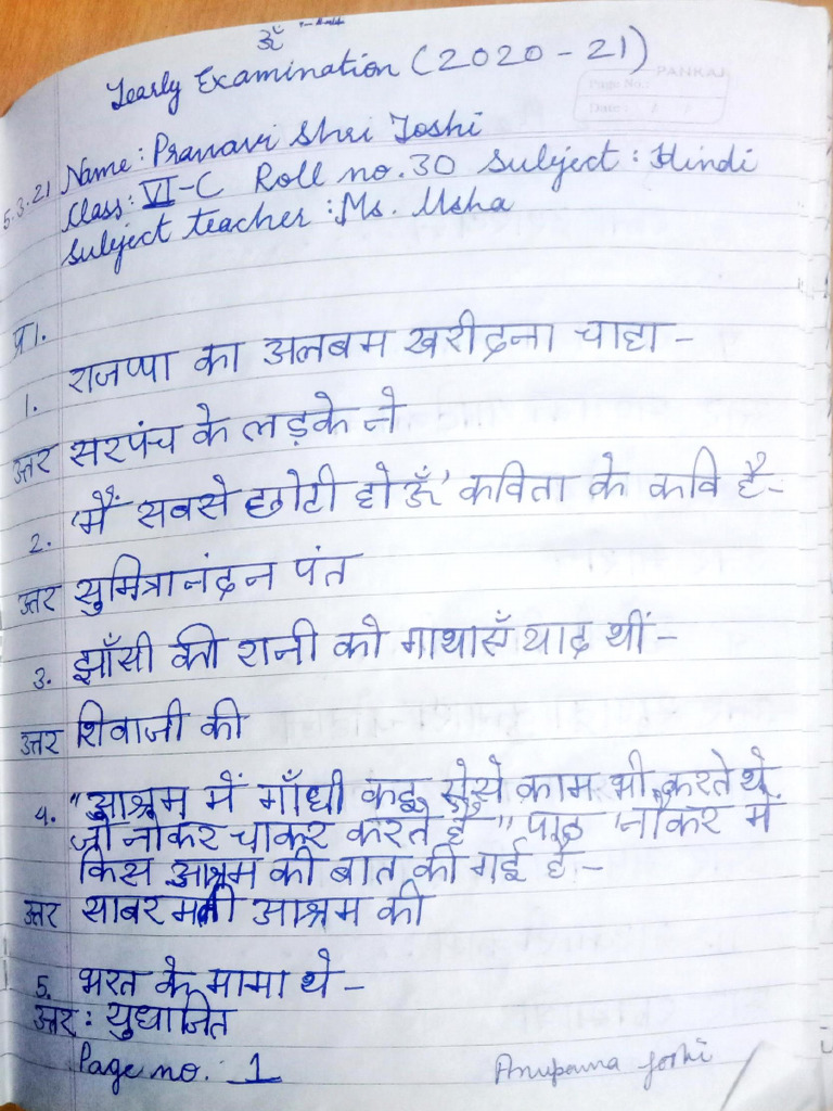 Hindi Paper | PDF