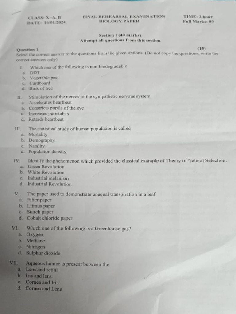 SJS Class 10 Pre Board Papers | PDF