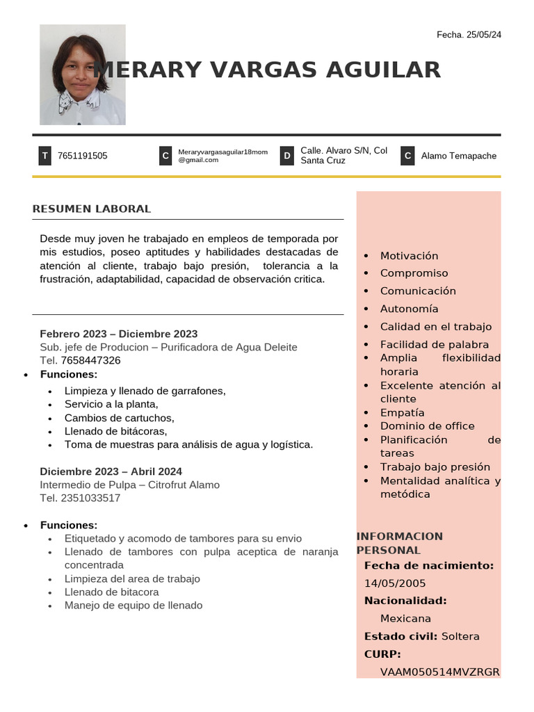 CV Merary Vargas Aguilar | PDF