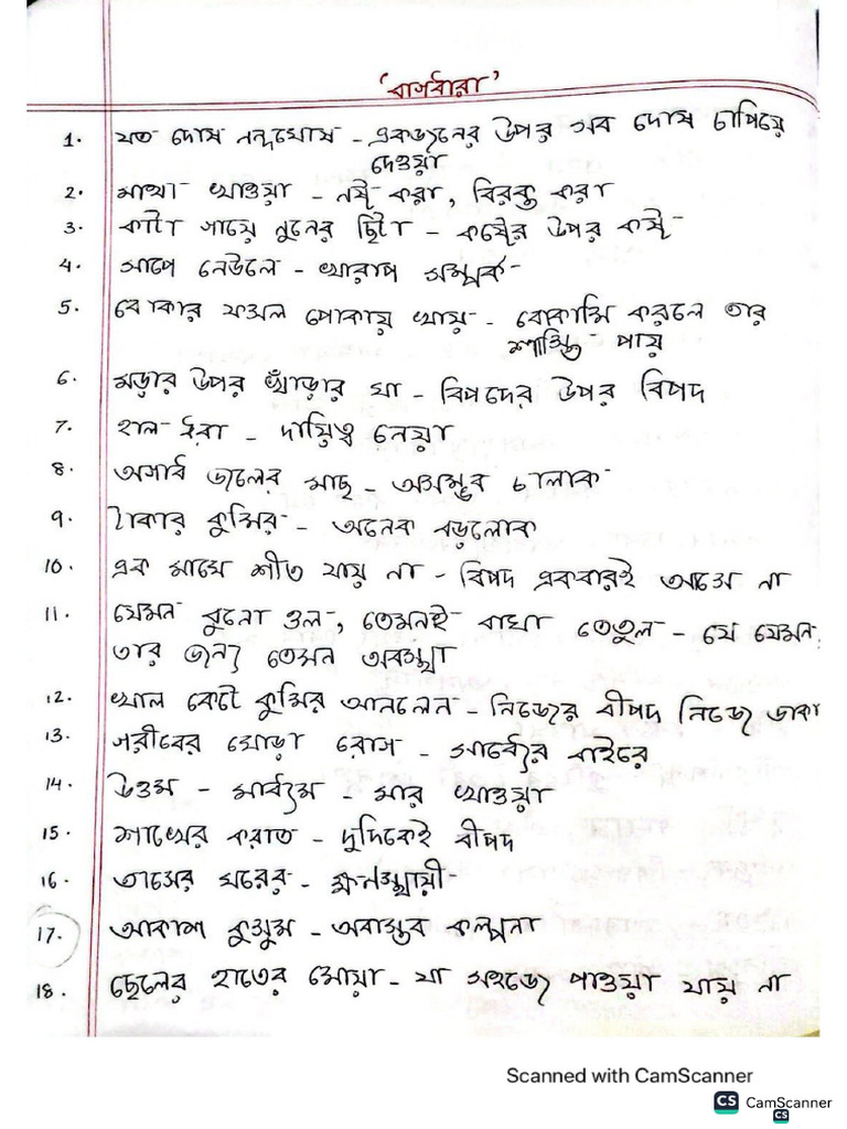 BOARD BAGDHARA ORTHO | PDF