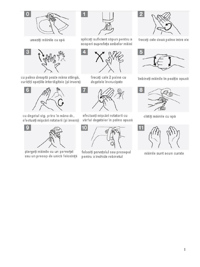 Igiena Mâinilor | PDF
