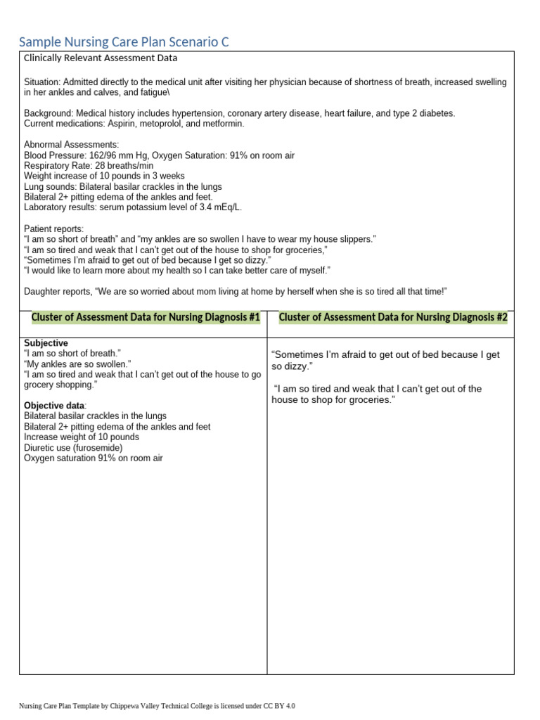Sample Abbreviated Nursing Care Plan | PDF | Edema | Breathing