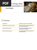 CDM Contingent Guidelines for Assemblies | PDF | Police | Arrest