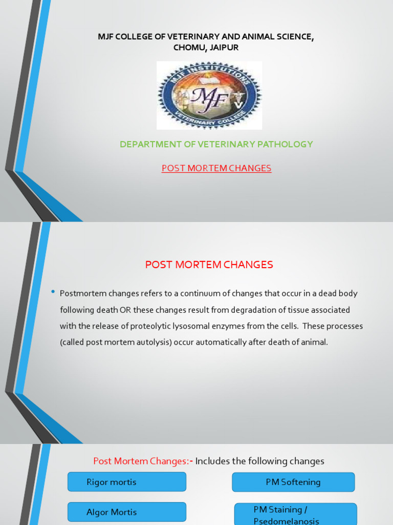 Rigor Mortis - Forensic Perspectives - PM Changes in Animal | PDF ...