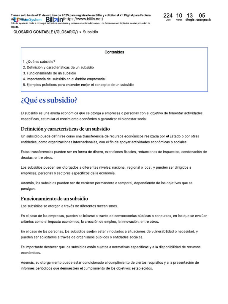 Qué Es Subsidio | PDF