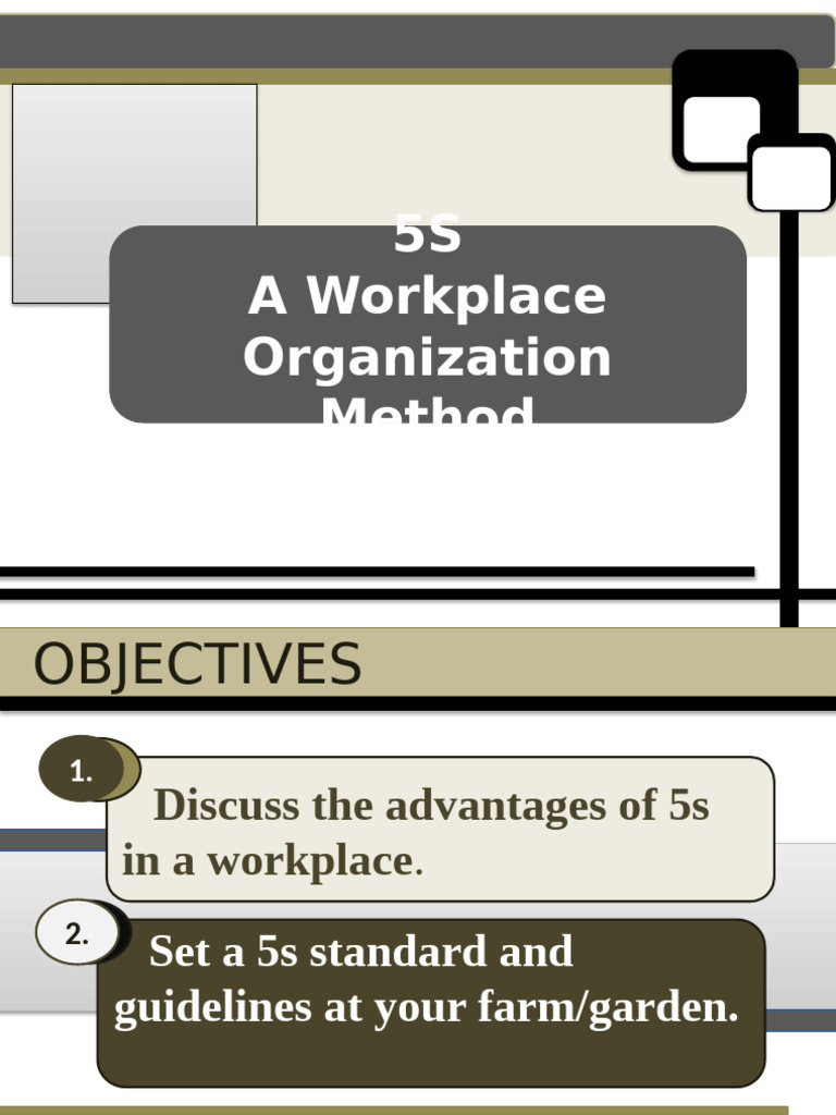 5S A Workplace Organization Method | PDF