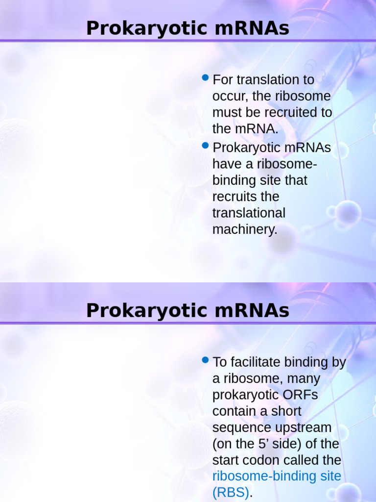142-Prokaryotic mRNAs | PDF | Messenger Rna | Translation (Biology)
