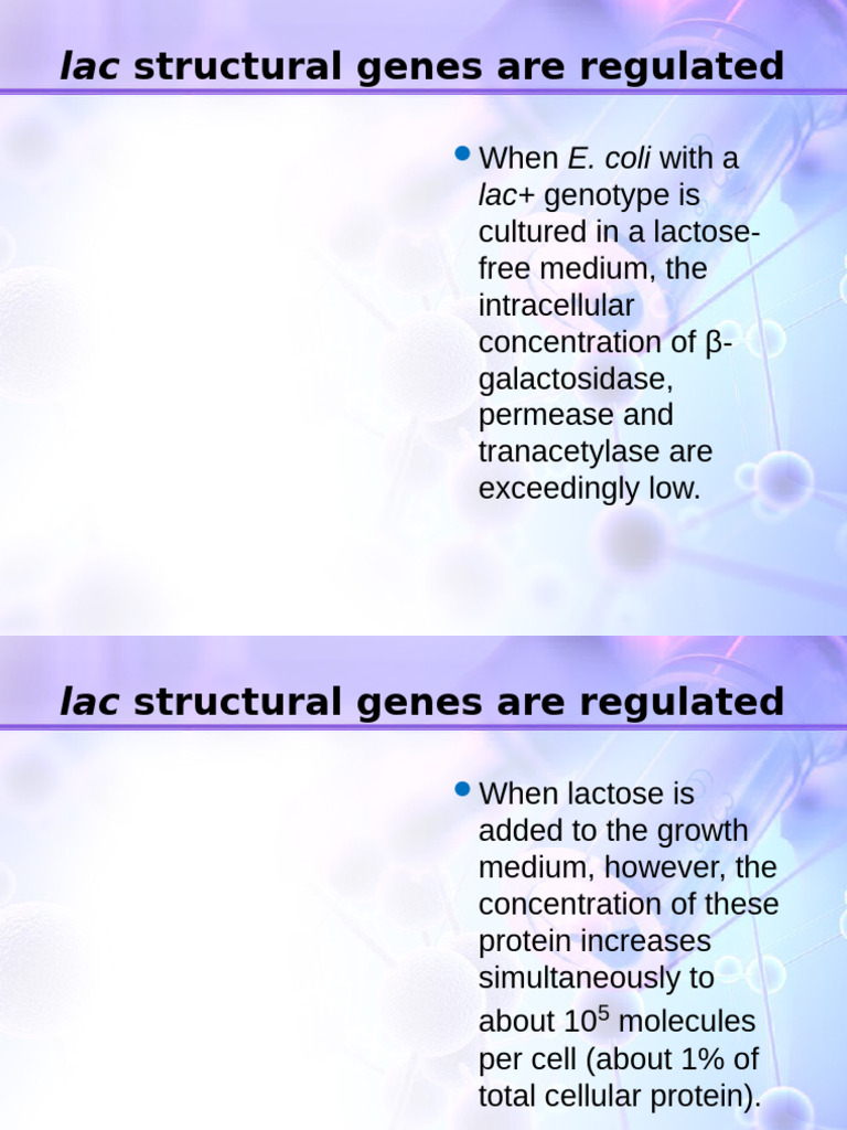 IPTG Induction of Lac Structural Genes | PDF | Gene | Enzyme
