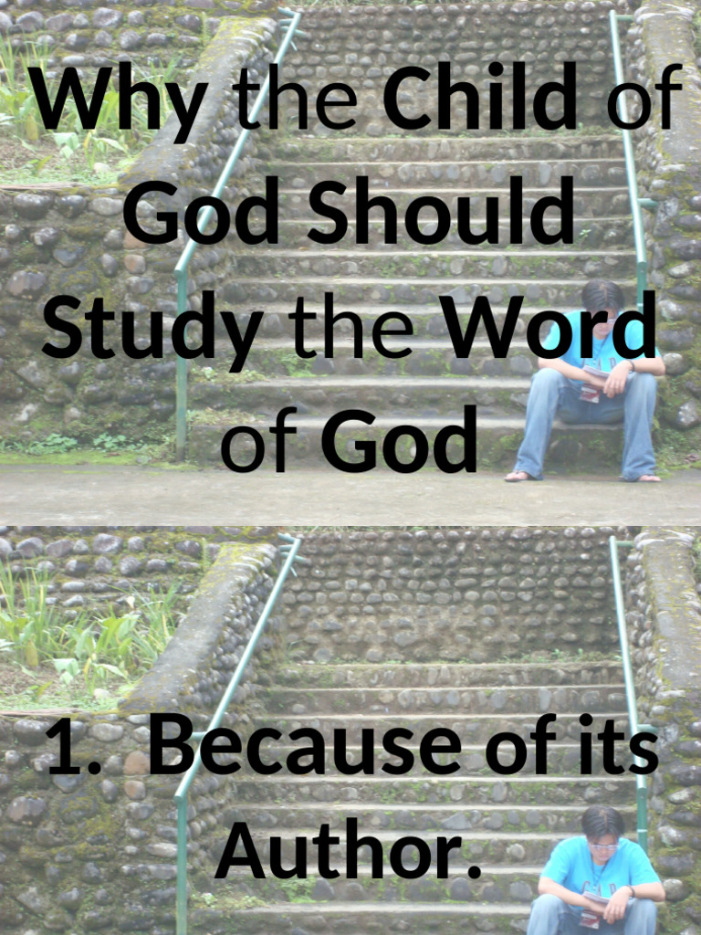 Importance of Studying the Bible | PDF