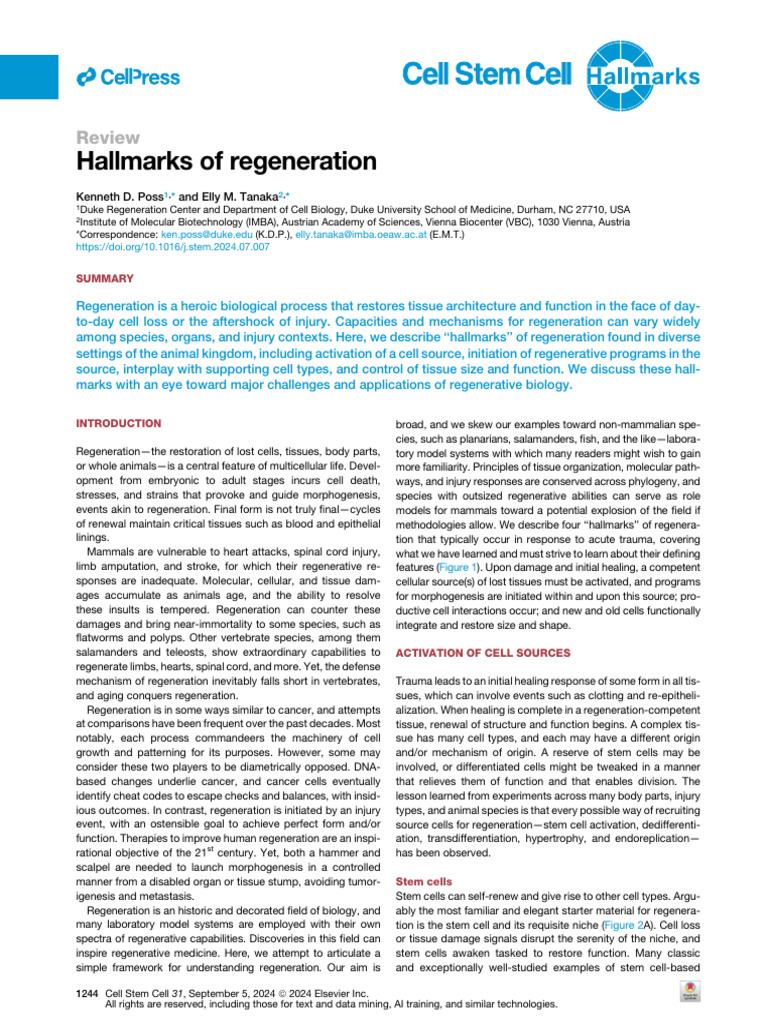 Hallmarks of Regeneration Explained | PDF | Regeneration (Biology) | Macrophage