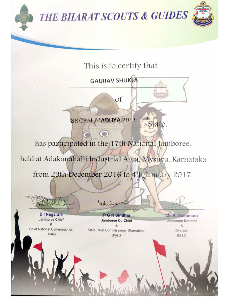 17th National Jamboree | PDF