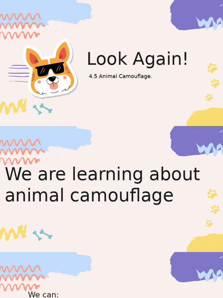 Understanding Animal Camouflage | PDF