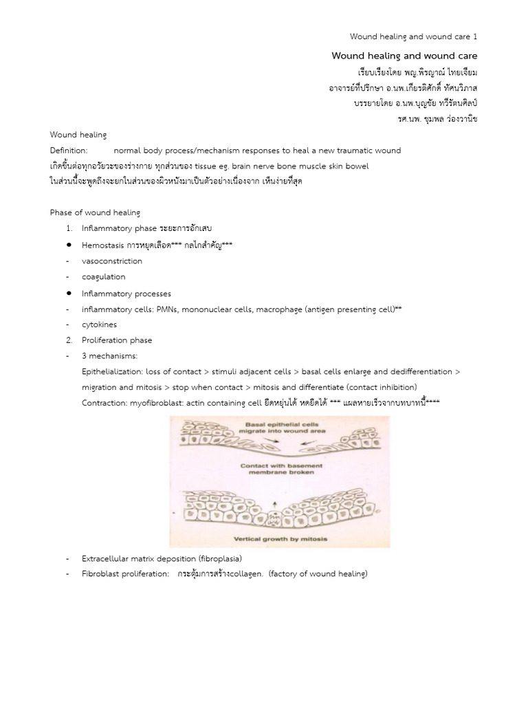 Wound Healing and Wound Care | PDF | Wound Healing | Wound