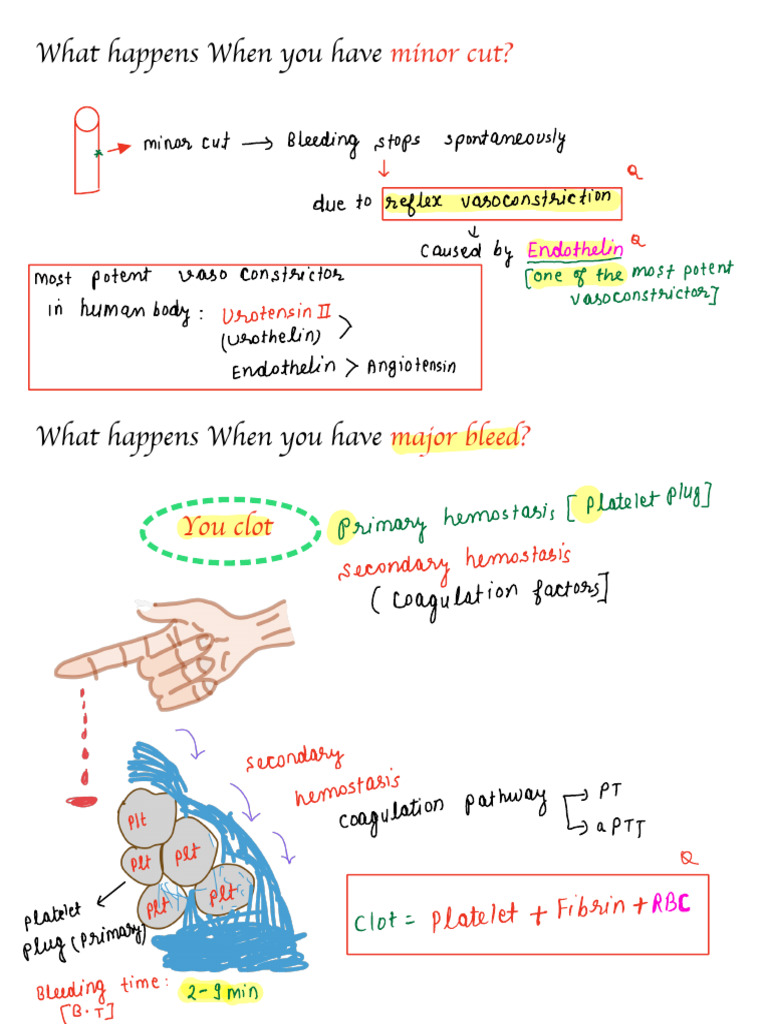 Understanding Bleeding and Coagulation Disorders | PDF | Coagulation ...