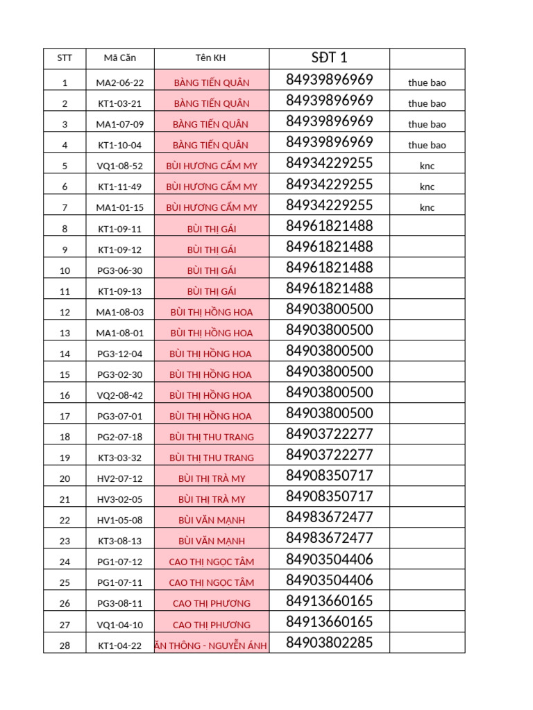 Data KH Mua Sỉ - BHNC | PDF