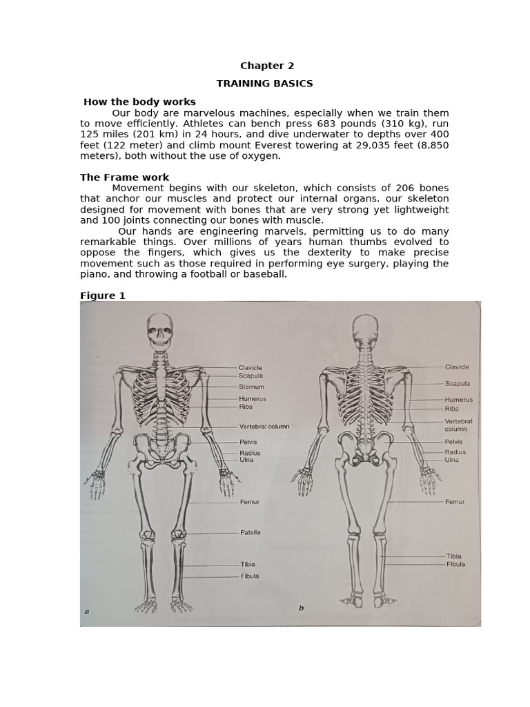 PATHFIT 2 - Skeletal System | PDF | Physical Fitness | Aerobic Exercise