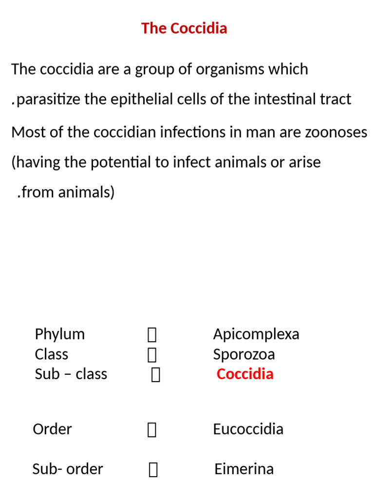 Coccidia Med Eng | PDF | Medical Specialties | Microbiology