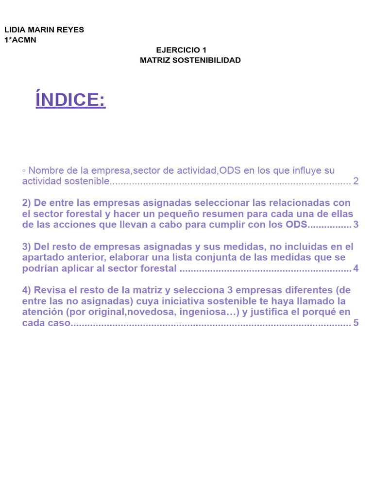 Matriz - Sostenibilidad LIDIA MARIN REYES | PDF | Sustentabilidad ...