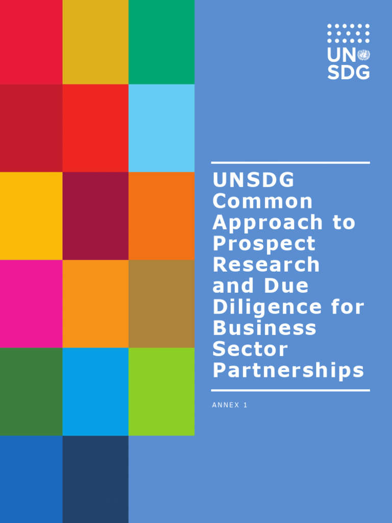 Annex 1 UNSDG Common Approach To Due Diligence | PDF | Risk | United ...