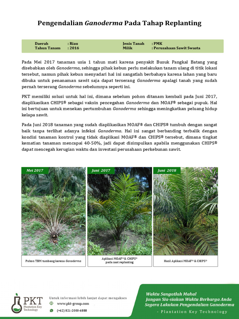 Pengendalian Ganoderma Pada Tahap Replanting | PDF