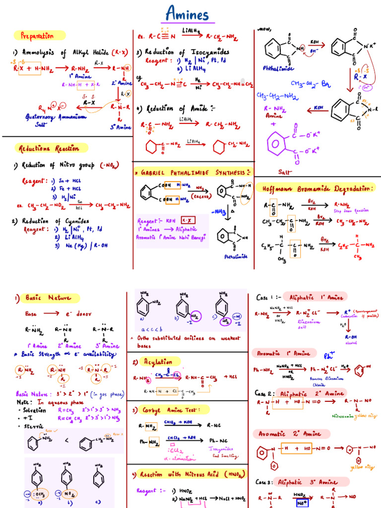 Amine Synthesis and Reactions Guide | PDF | Amine | Organic Chemistry