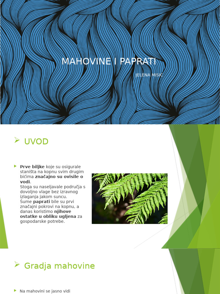 Mahovine i Paprati | PDF