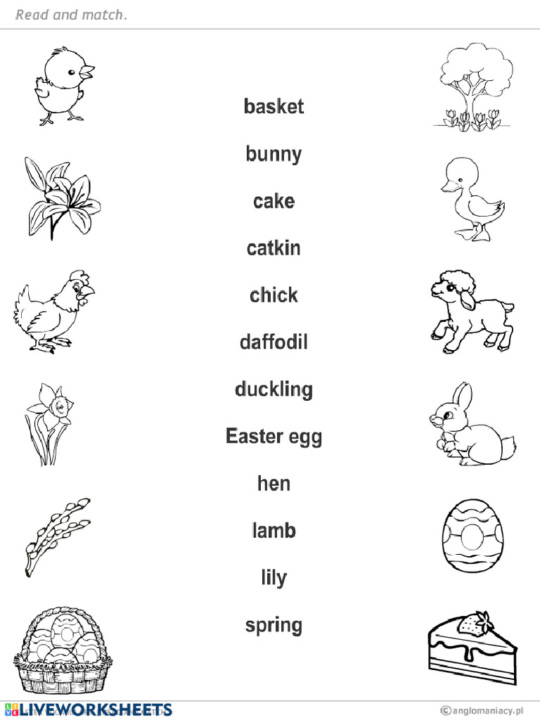 Easter Vocabulary Matching | PDF