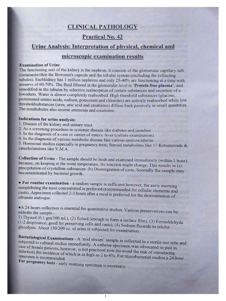 Urine Analysis | PDF
