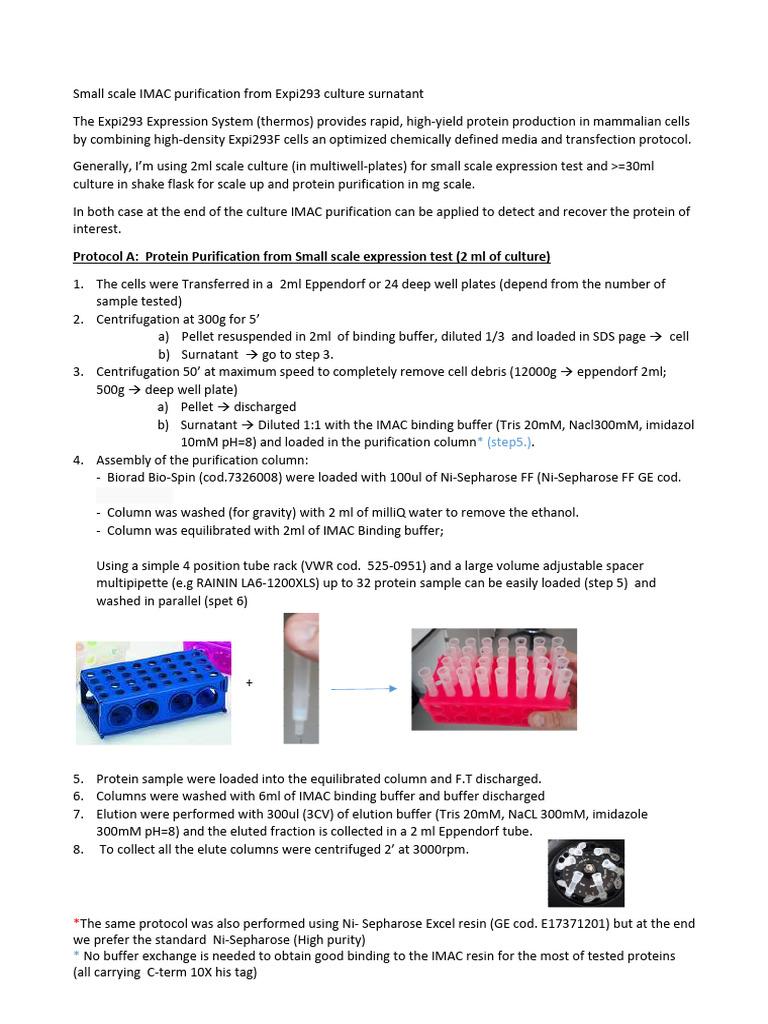 Small Scale IMAC Purification From Expi293 Culture Surnatant | PDF ...