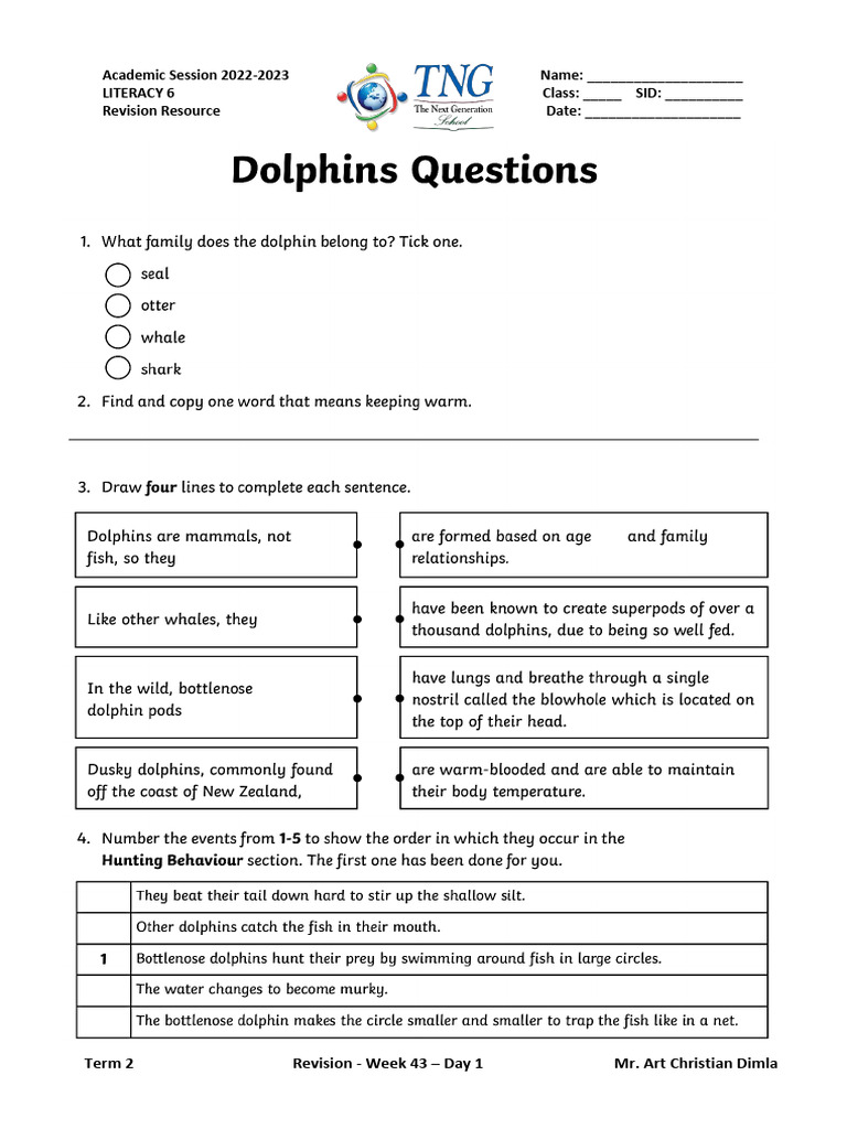 Comprehension questions-dolphins | PDF