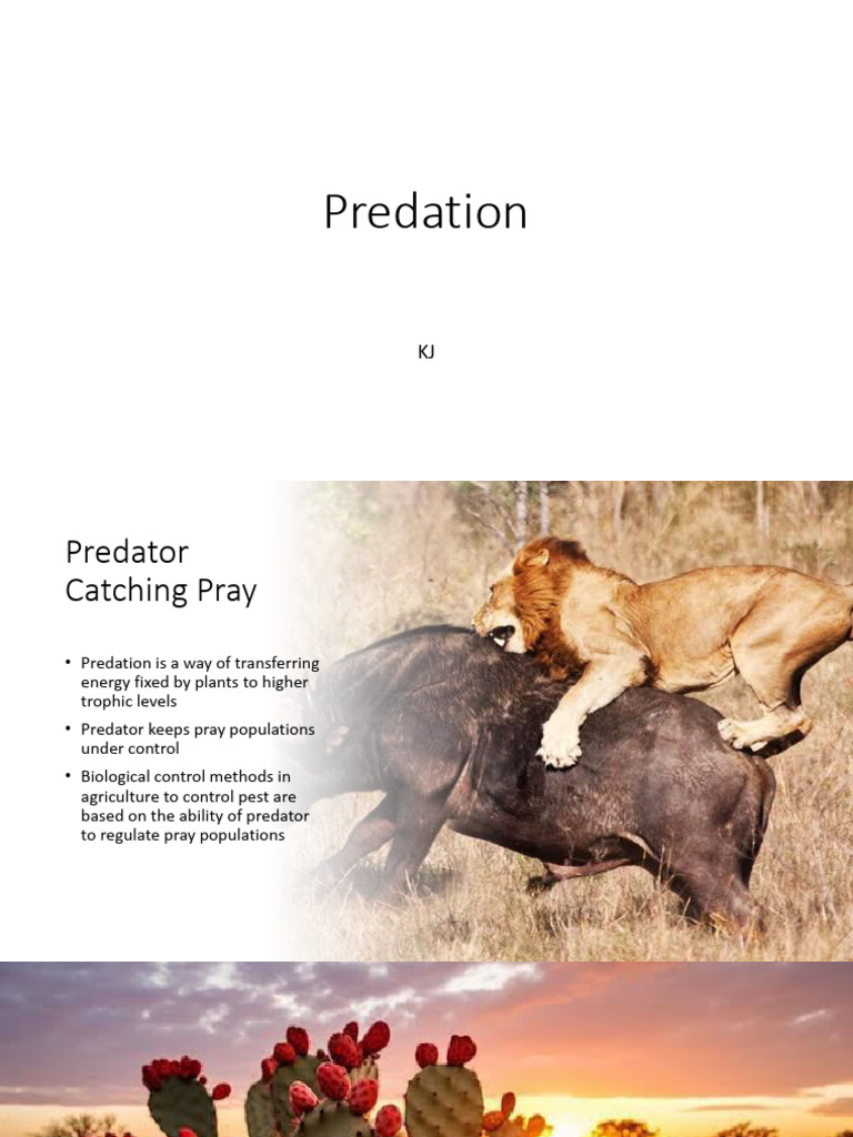 The Role of Predators in Ecosystems | PDF | Predation | Biology