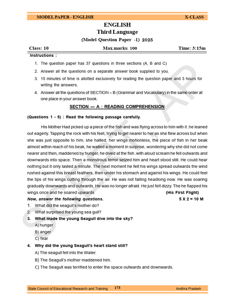 Class 10 English Model Question Paper | PDF | Galileo Galilei | Fuels