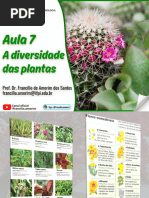 Espermatófitas | PDF | Plantas | Botânica