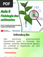 Estomas e Plastídeos: Estrutura e Função | PDF | Fotossíntese | Estoma