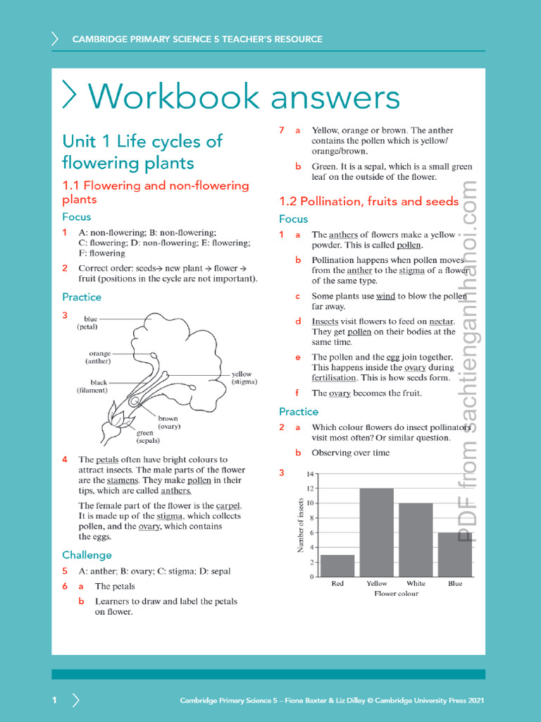 Cambridge Primary Science 5 Workbook Answers | PDF