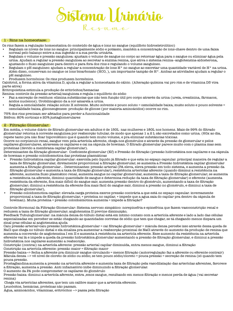 Resumo Sistema Urinário - Baseado Guyton | PDF | Rim
