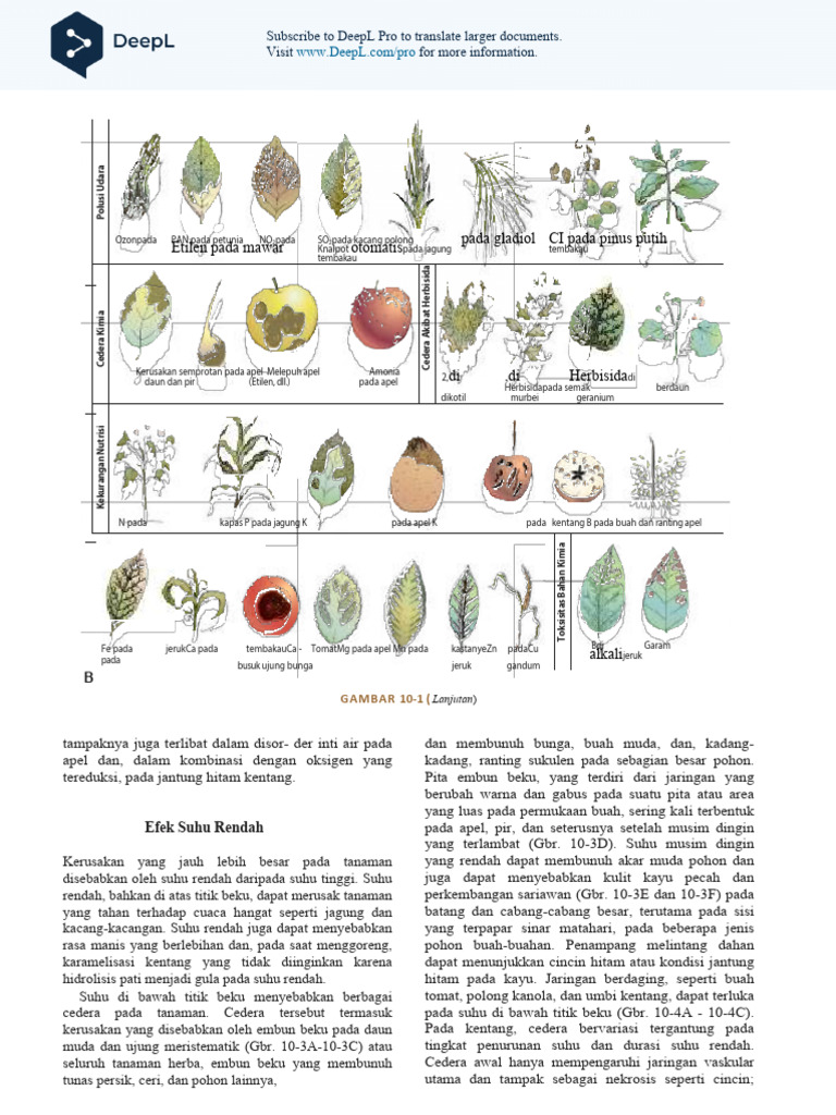 George N. Agrios - Plant Pathology, Fifth Edition-Academic Press (2005 ...