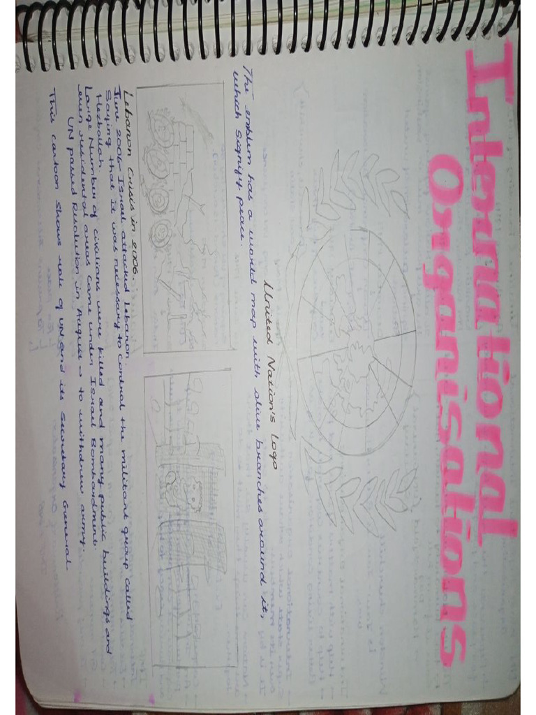 International Organisations | PDF