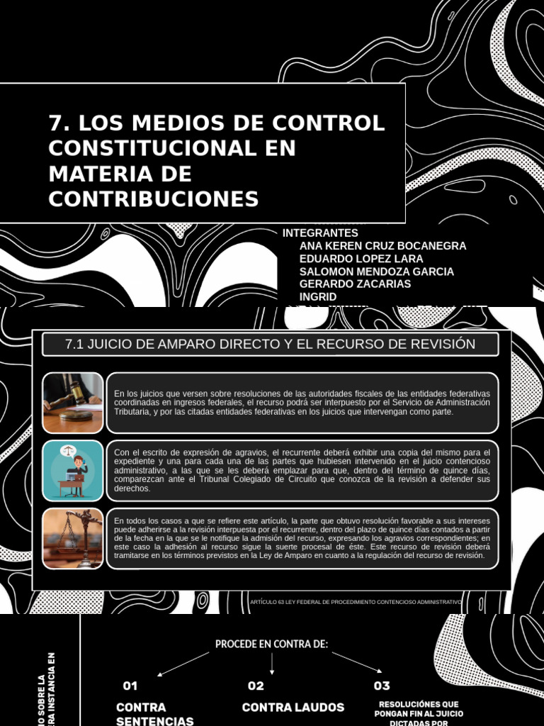 7. Los Medios de Control Constitucional en Materia de Contribuciones (2 ...